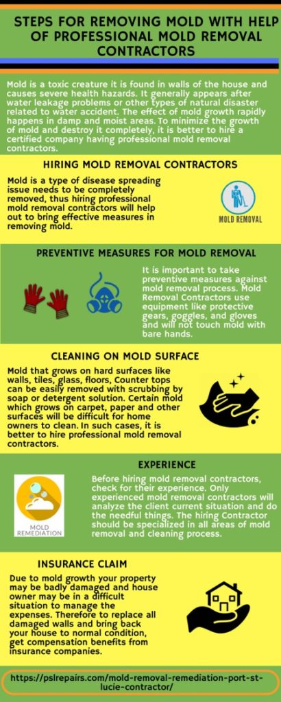 Steps for Removing Mold with Help of Professional Mold Removal ...