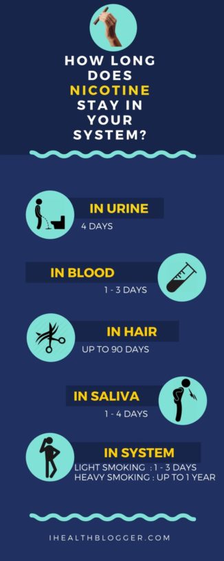 How long does Nicotine stay in your System ? | Latest Infographics How long does Nicotine stay in your System ? | Latest Infographics