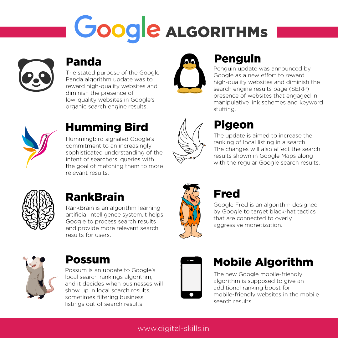 Important Google Algorithms | Latest Infographics