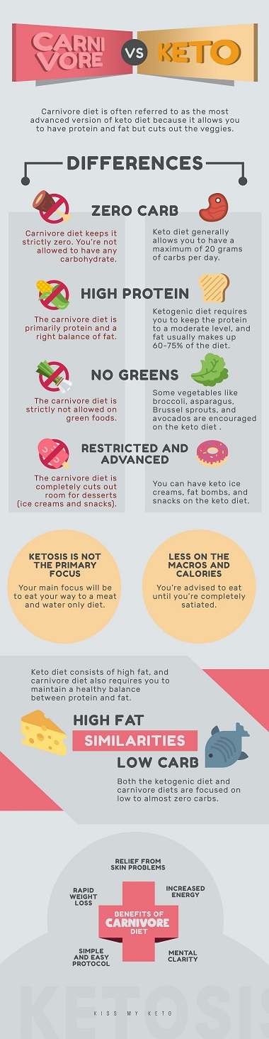 Keto vs. Carnivore Diet: Which One Is Better? | Latest Infographics