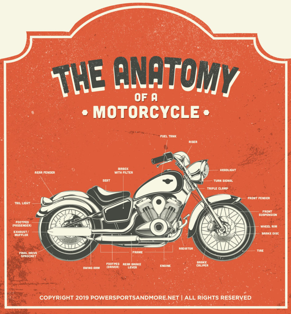 The Anatomy of a Motorcycle | Latest Infographics