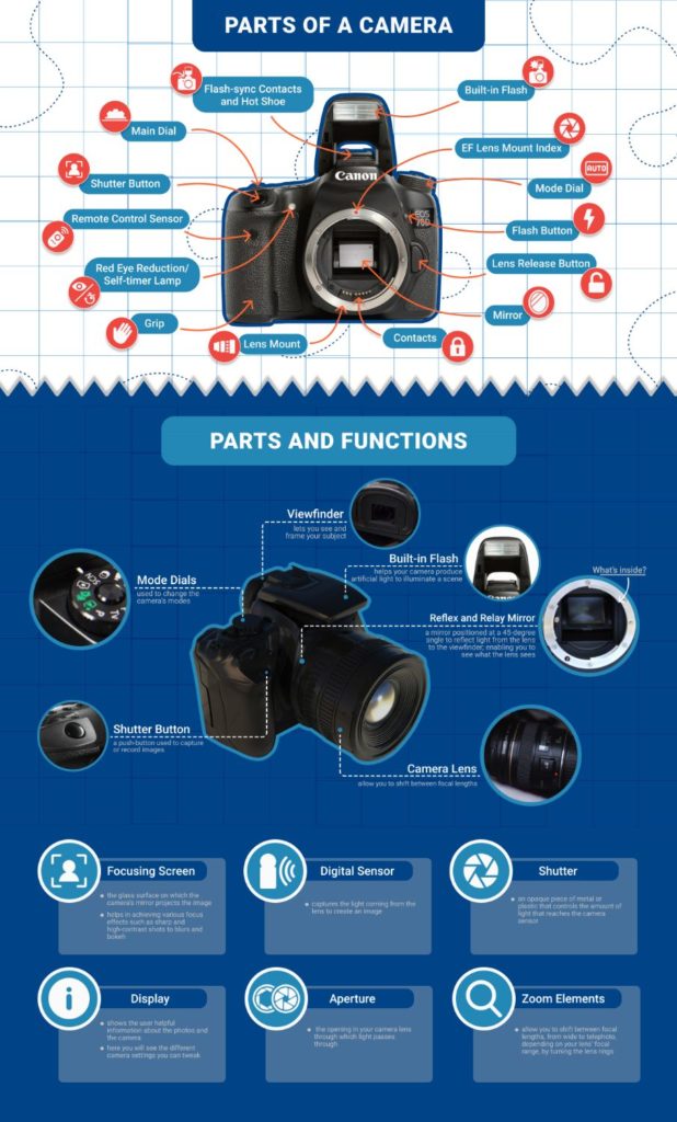 Infographics: Adorama – Parts Of The Camera | Latest Infographics