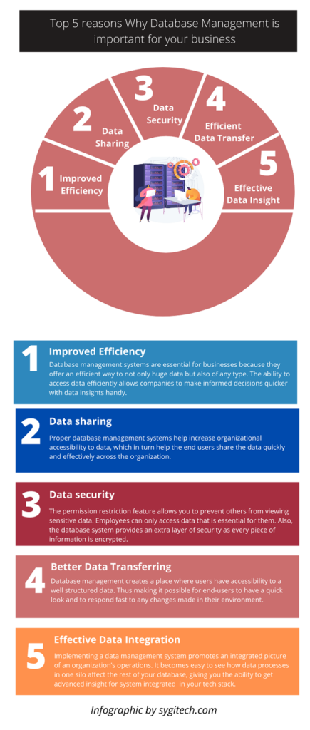 Top Five Reason why Database Management is important for your business ...