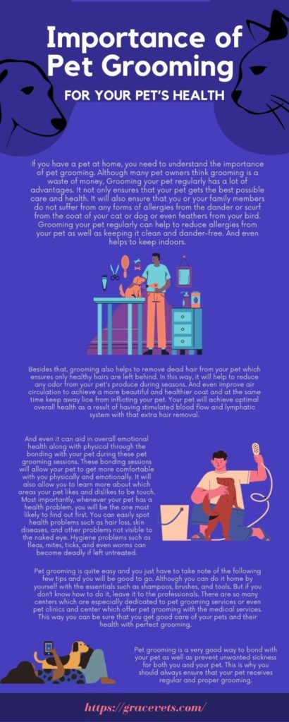 Animals | Latest Infographics