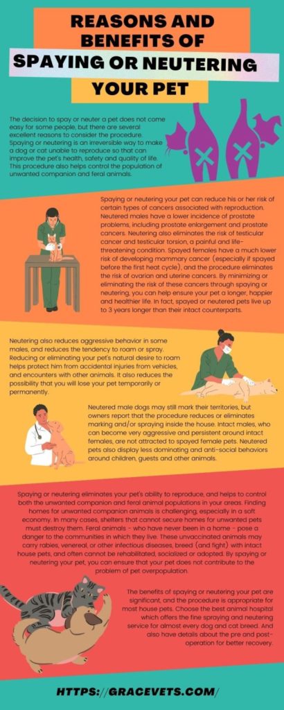 Reasons And Benefits of Spaying or Neutering Your Pet | Latest Infographics